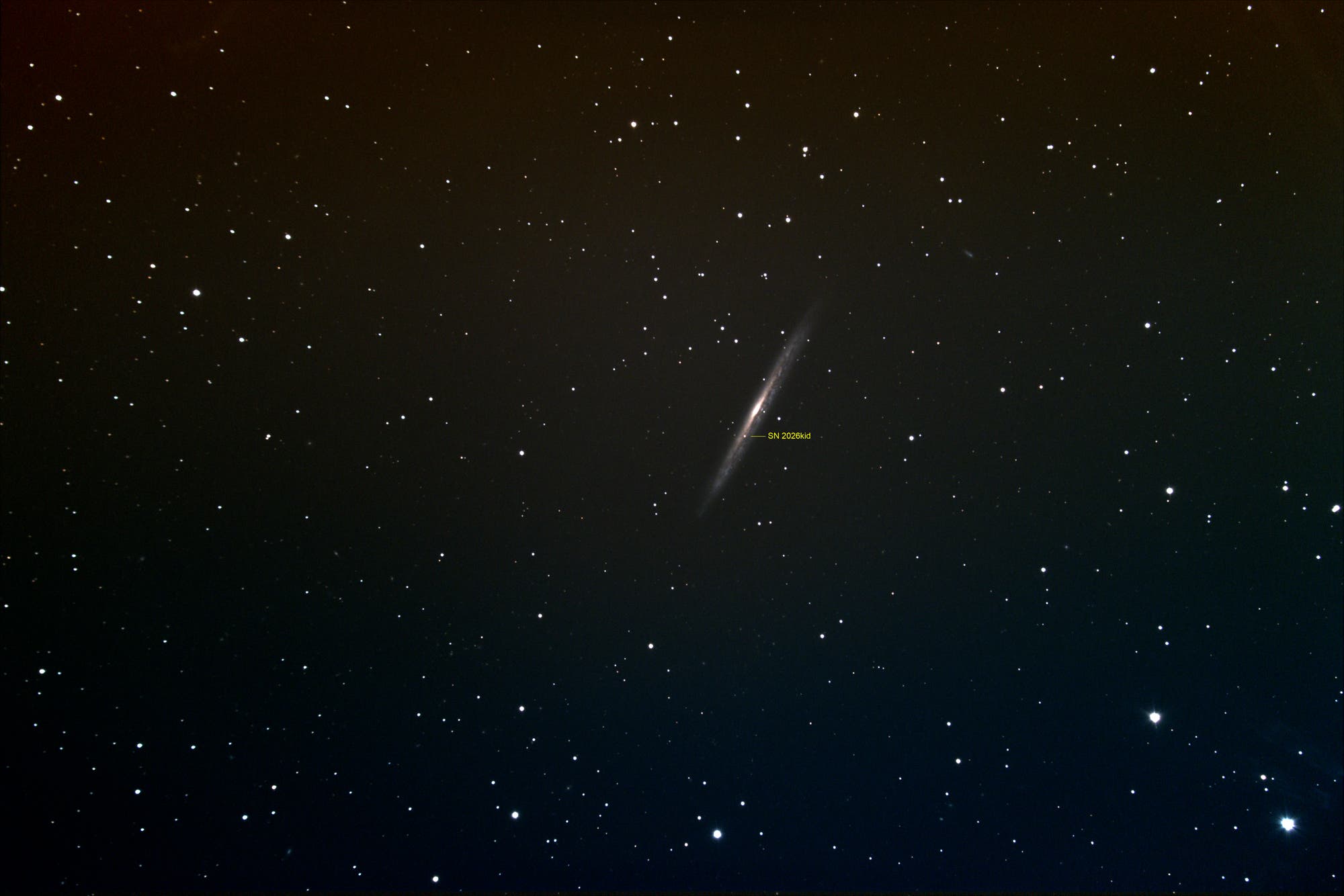 NGC 5907 mit SN2026kid - Spektrum der Wissenschaft