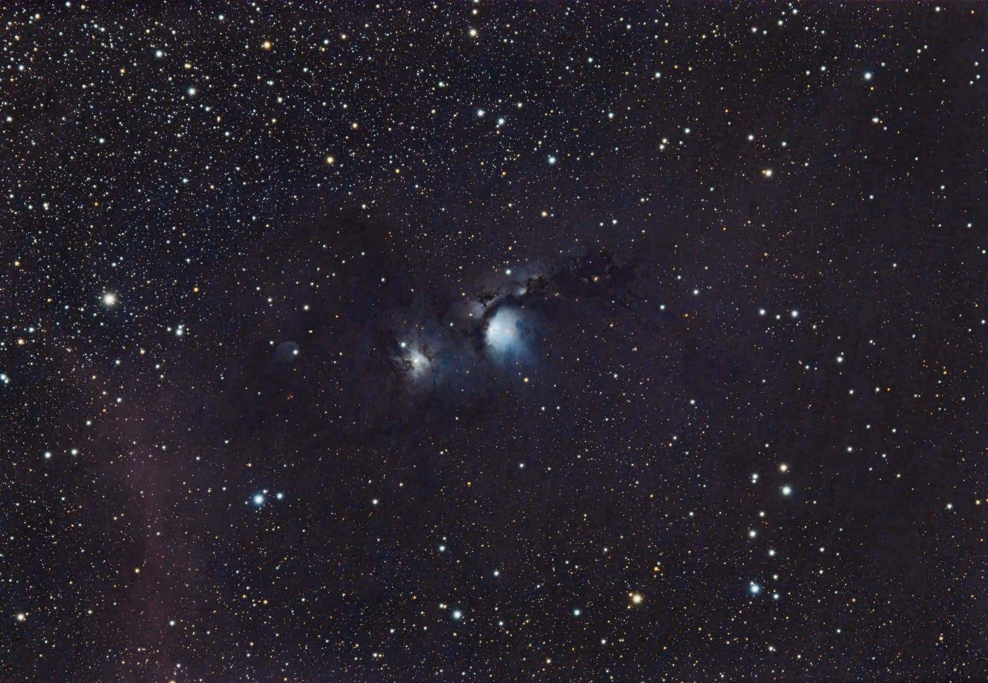 M78 im Orion - Spektrum der Wissenschaft