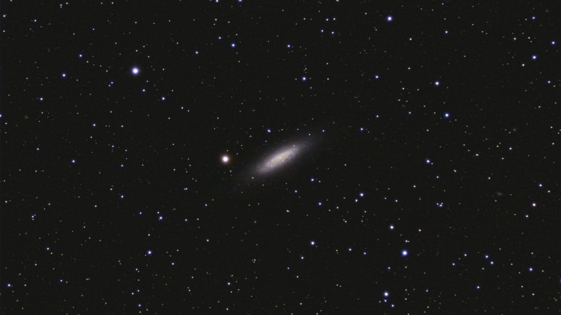 NGC 6503 - Spektrum der Wissenschaft