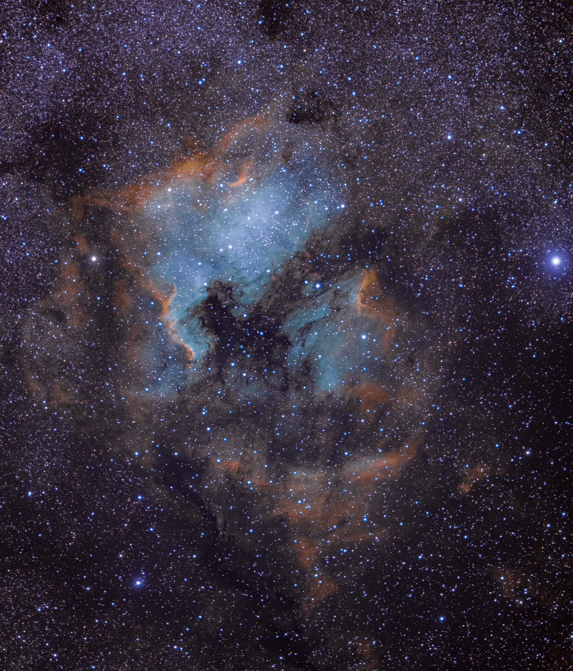 Deneb Region im Sternbild Schwan - Spektrum der Wissenschaft