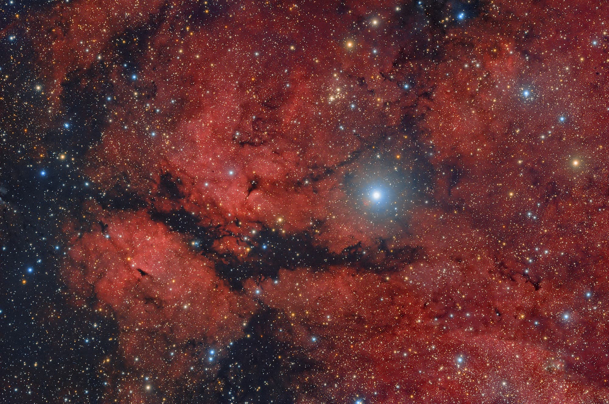 IC 1318 - Der Schmetterling - Spektrum der Wissenschaft