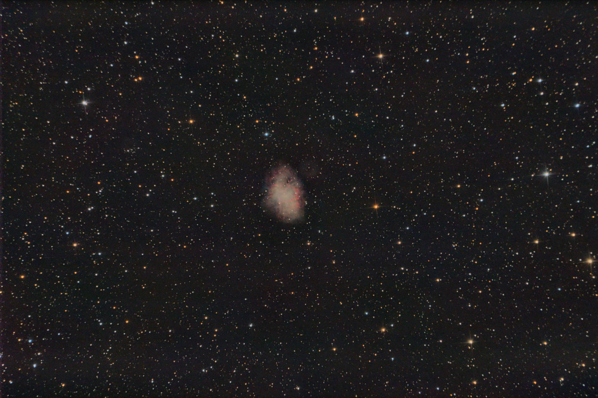 Messier 1 - Spektrum der Wissenschaft