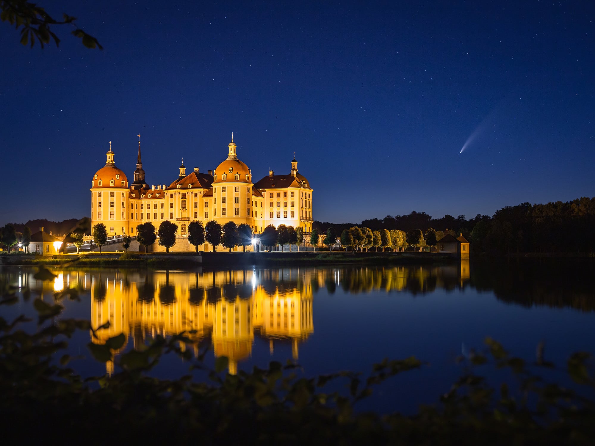 "Hoher Besuch auf Schloss Moritzburg" - Spektrum der Wissenschaft