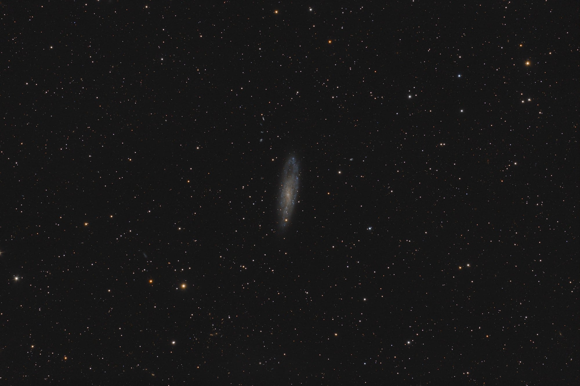 NGC 247 - Spektrum der Wissenschaft