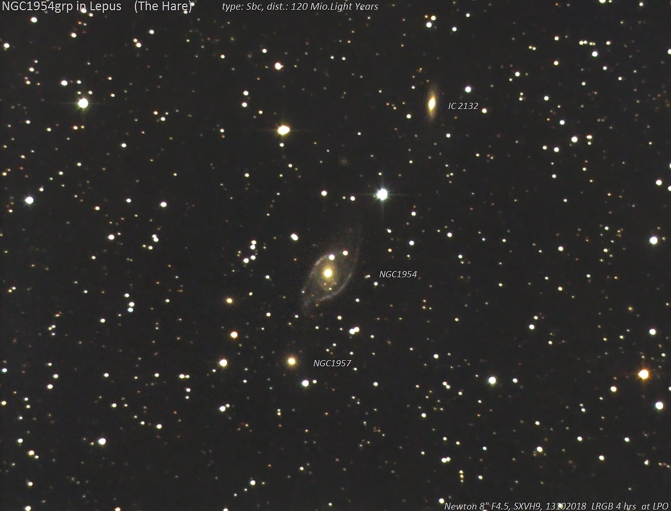 NGC 1954 group in Lepus - Spektrum der Wissenschaft