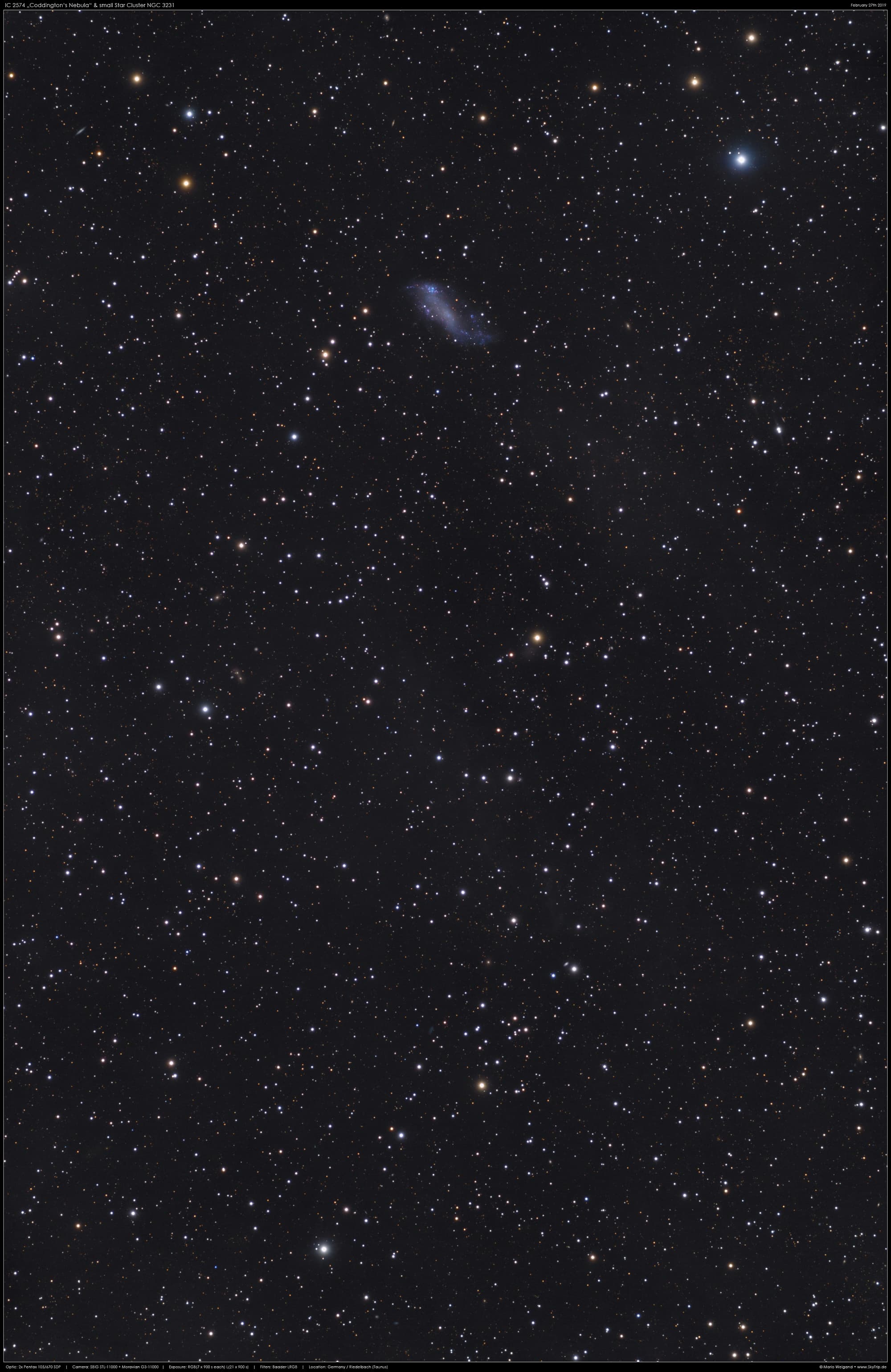 Coddington's Nebula IC 2574 & NGC 3231 - Spektrum der Wissenschaft
