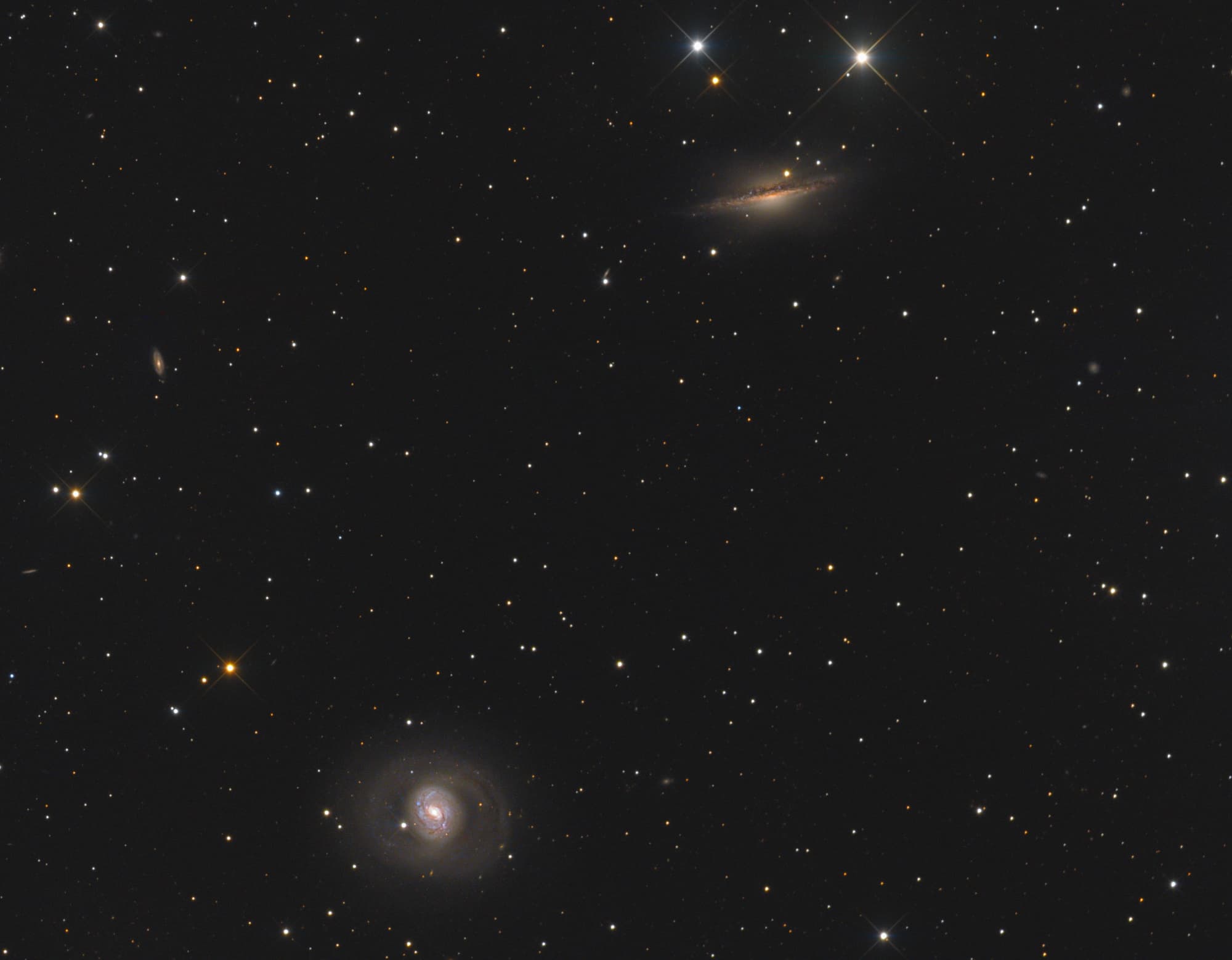 Messier 77 und NGC 1055 - Spektrum der Wissenschaft
