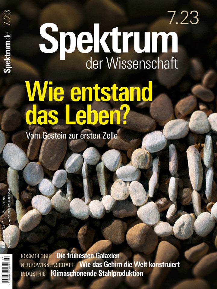 Wie entstand das Leben? Vom Gestein zur ersten Zelle Spektrum 7/23 - Spektrum der Wissenschaft