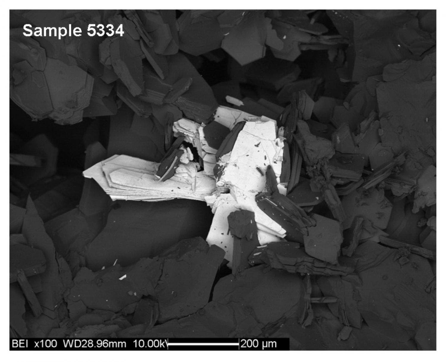 Mineralogie: Ichnusait - seltener geht es kaum - Spektrum der Wissenschaft