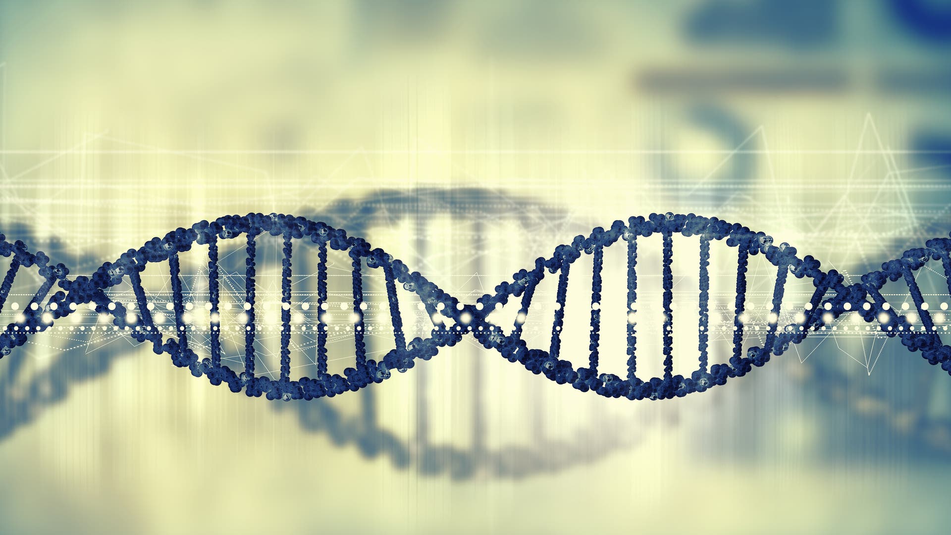 Die meist untersuchten Gene der Menschen - Spektrum der Wissenschaft