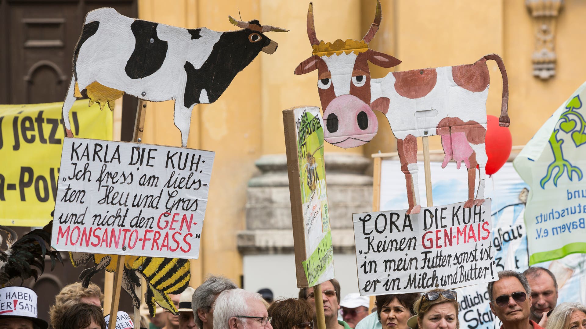 Grüne Gentechnik: Genfoodgegner wissen am wenigsten darüber - Spektrum ...