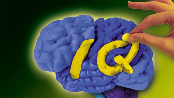 Kann man Intelligenz trainieren? - Spektrum der Wissenschaft