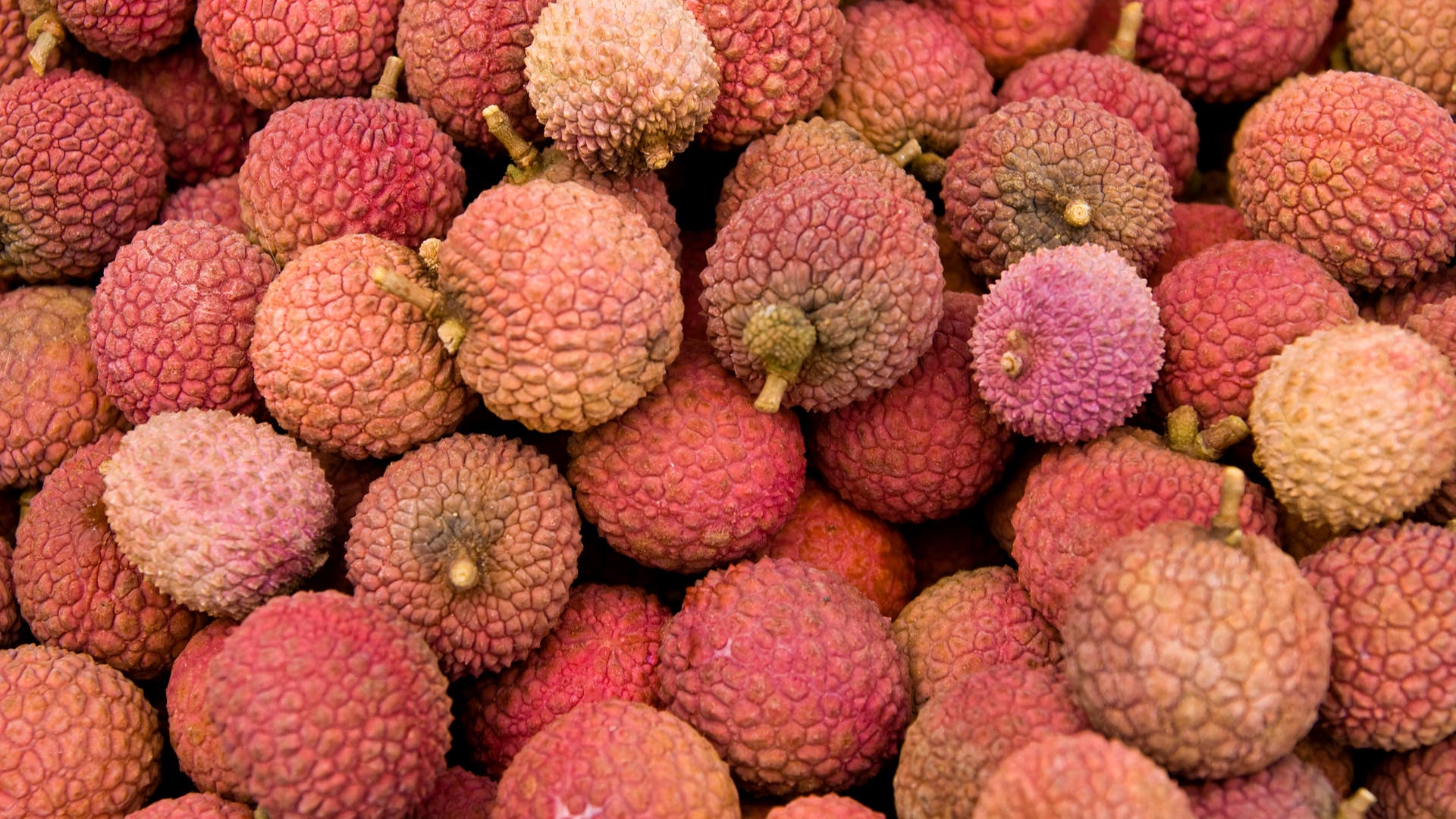 Ernährung: Wenn Litschi-Konsum tödlich endet - Spektrum der Wissenschaft