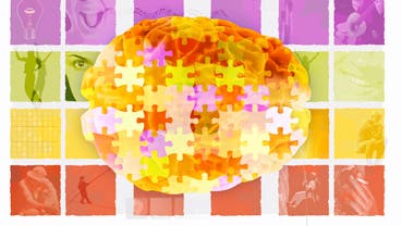Neuropsychologie: Puzzle der Persönlichkeit - Spektrum der Wissenschaft