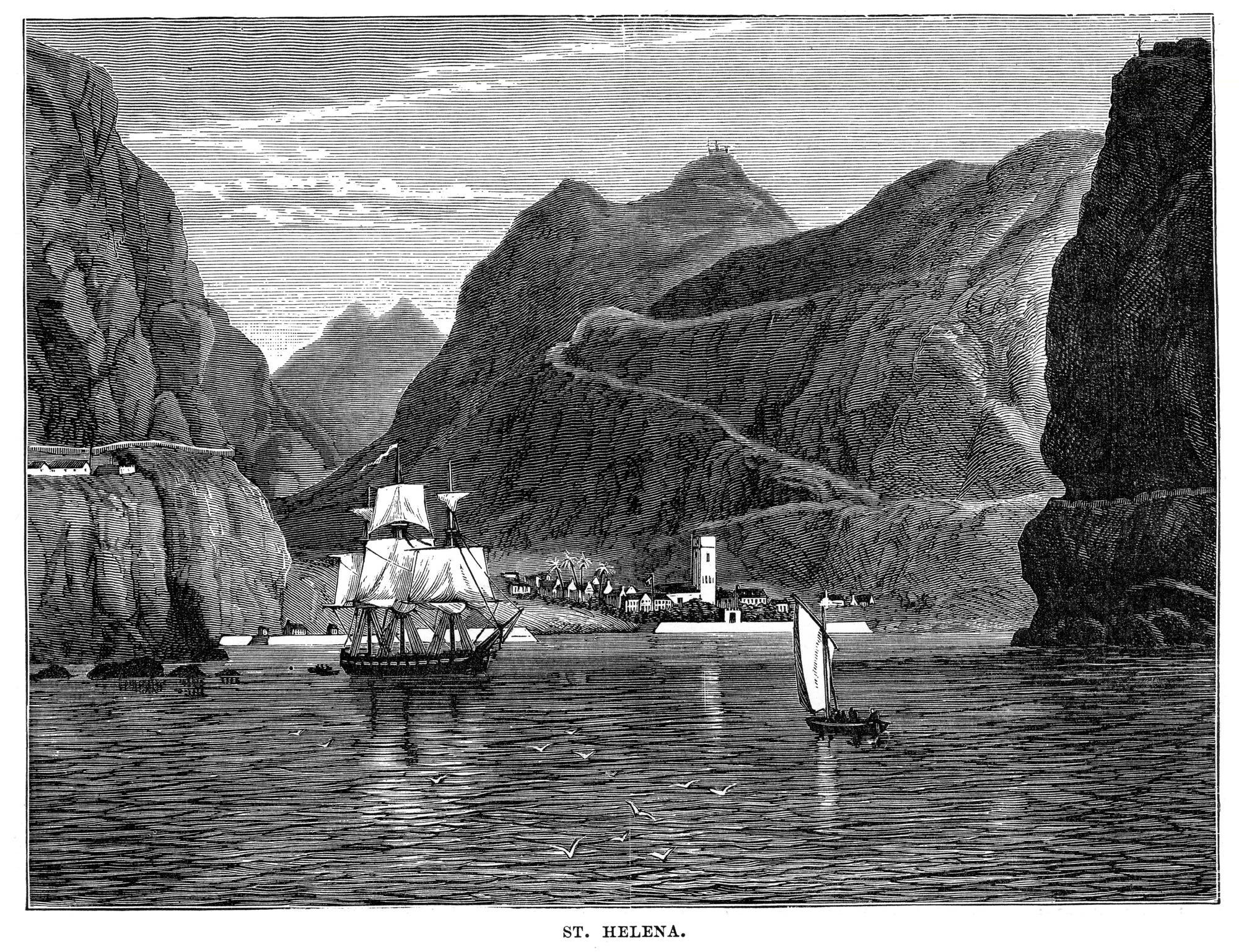 Historisches Erbgut: Genetisches Erbe der Sklaverei - Spektrum der ...