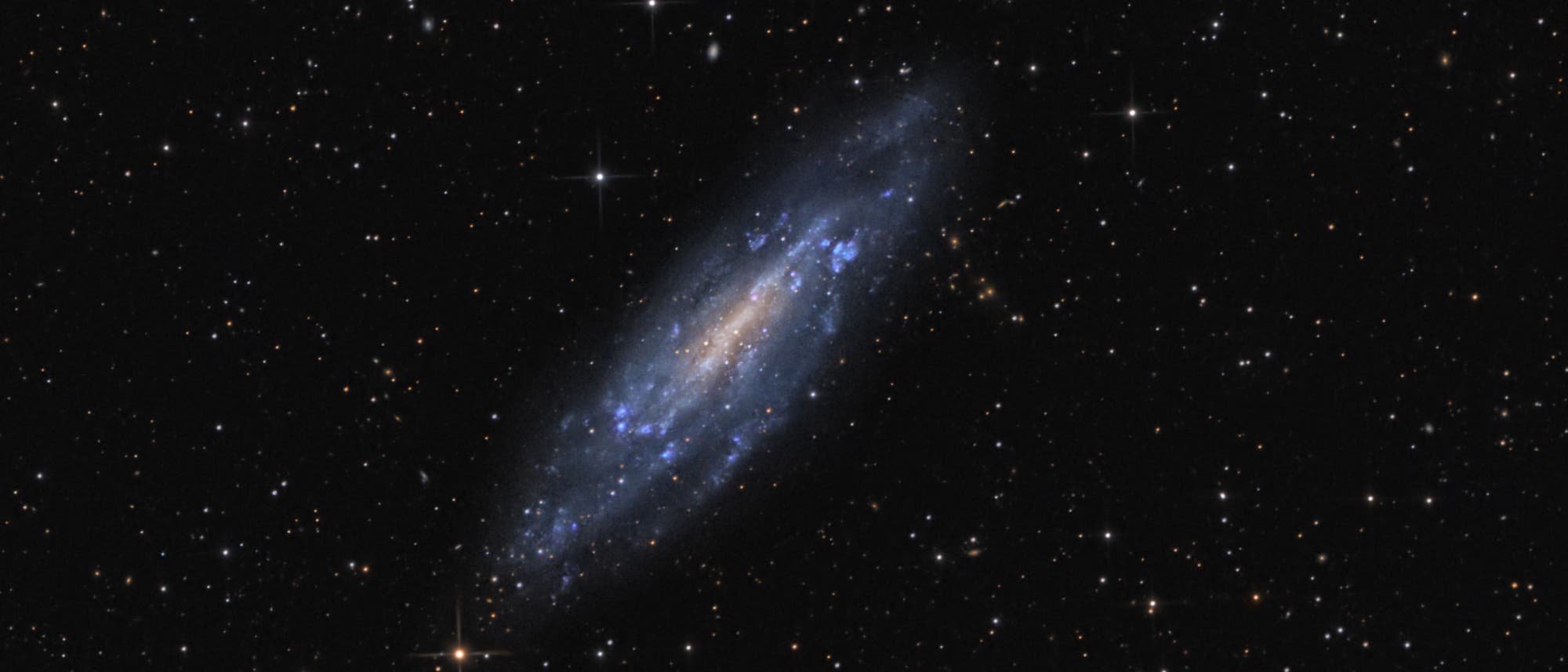 Im Schatten großer Schwestern: Die Galaxie NGC 4236 - Spektrum der ...