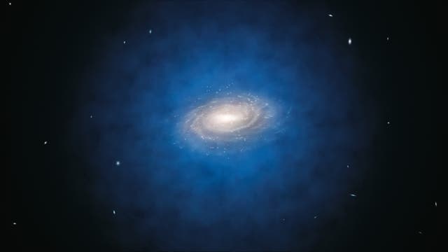 Galaxienentwicklung: Der alte Halo der Milchstraße - Spektrum der ...
