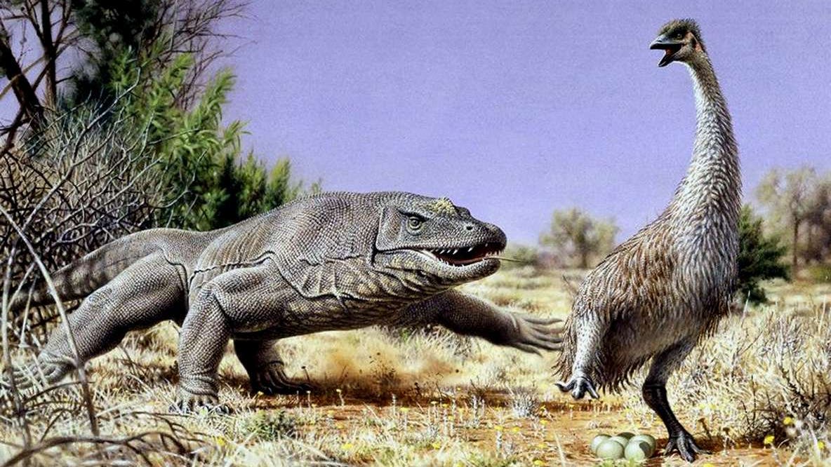 Paläontologie: Das traurige Ende der Megagans - Spektrum der Wissenschaft