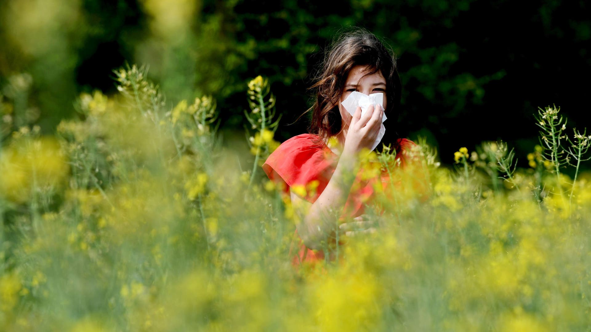 Klimawandel: Weiträumiger Pollenflug verfrüht Allergiesaison - Spektrum ...