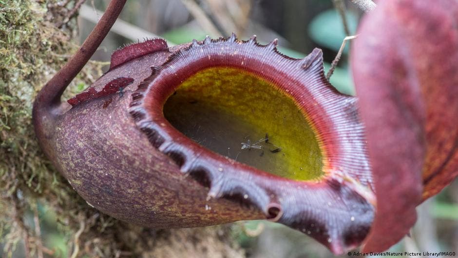 Shift: Mehr Diversität dank KI-generierter Models? - Spektrum der ...