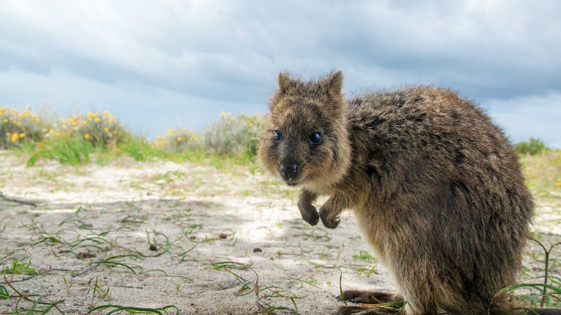Vielfältige Landschaft und Kultur Australiens entdecken - Spektrum der ...