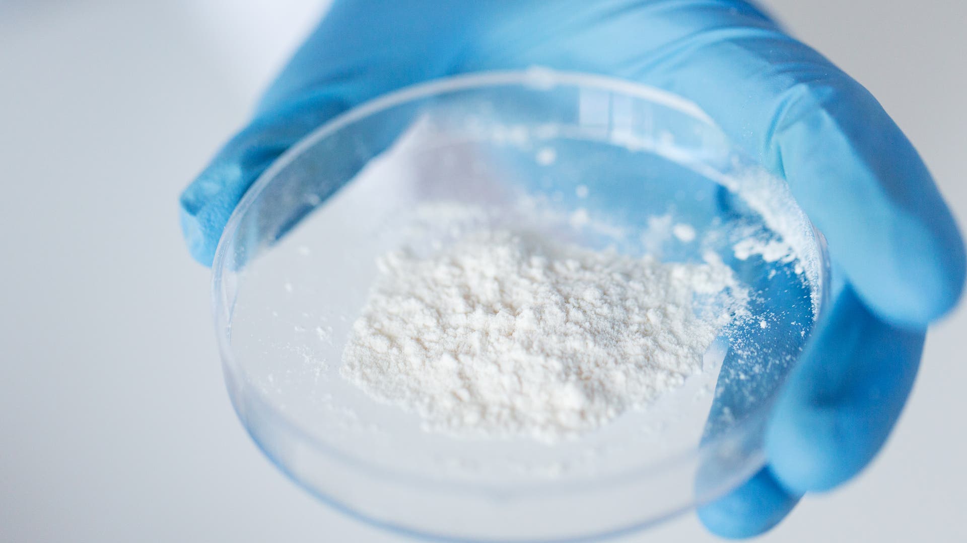 Gain-of-Function-Experimente: USA gibt kontroverse Virenforschung frei ...