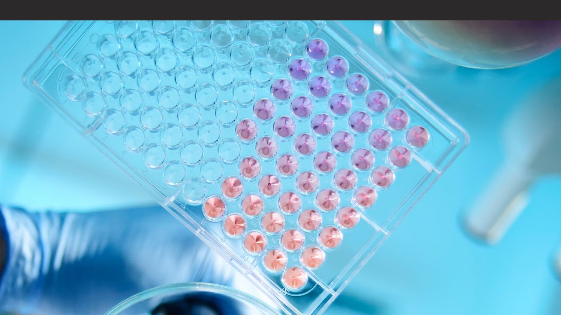 Digitalpaket Moderne Medizin