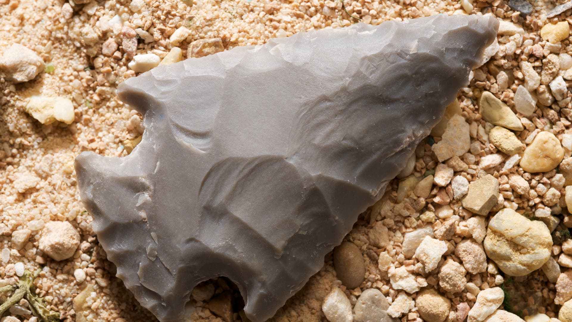 Steinzeit - Spektrum der Wissenschaft