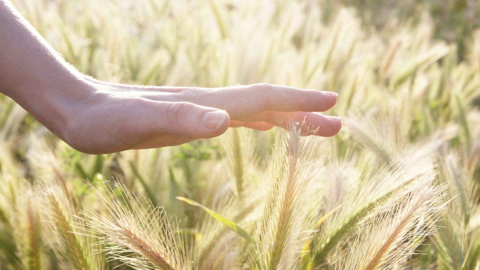 "Ohne Tastsinn gibt es kein Leben" - Spektrum der Wissenschaft