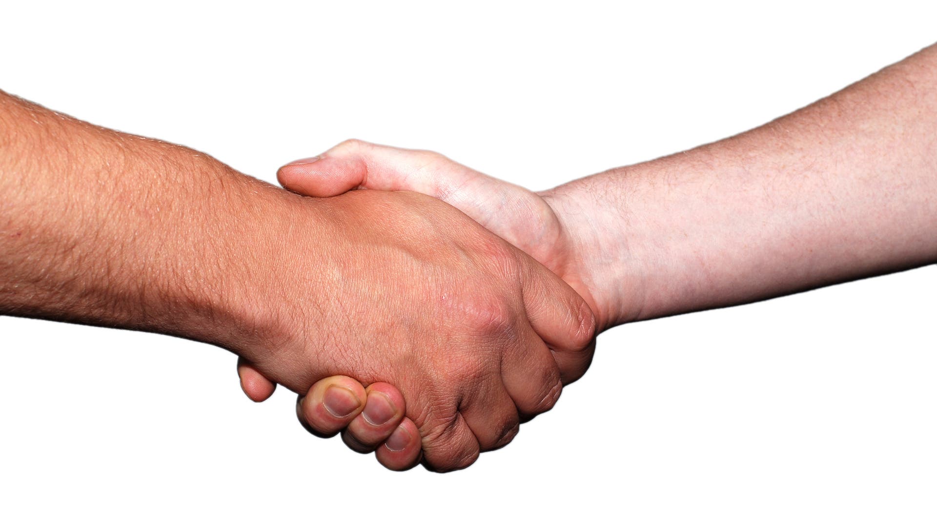 Soziale Duftstoffe: Menschen beschnüffeln andere per Handschlag ...