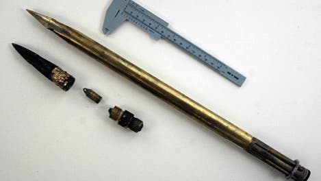 Walfang: Hundert Jahre alte Harpune in Wal entdeckt - Spektrum der ...