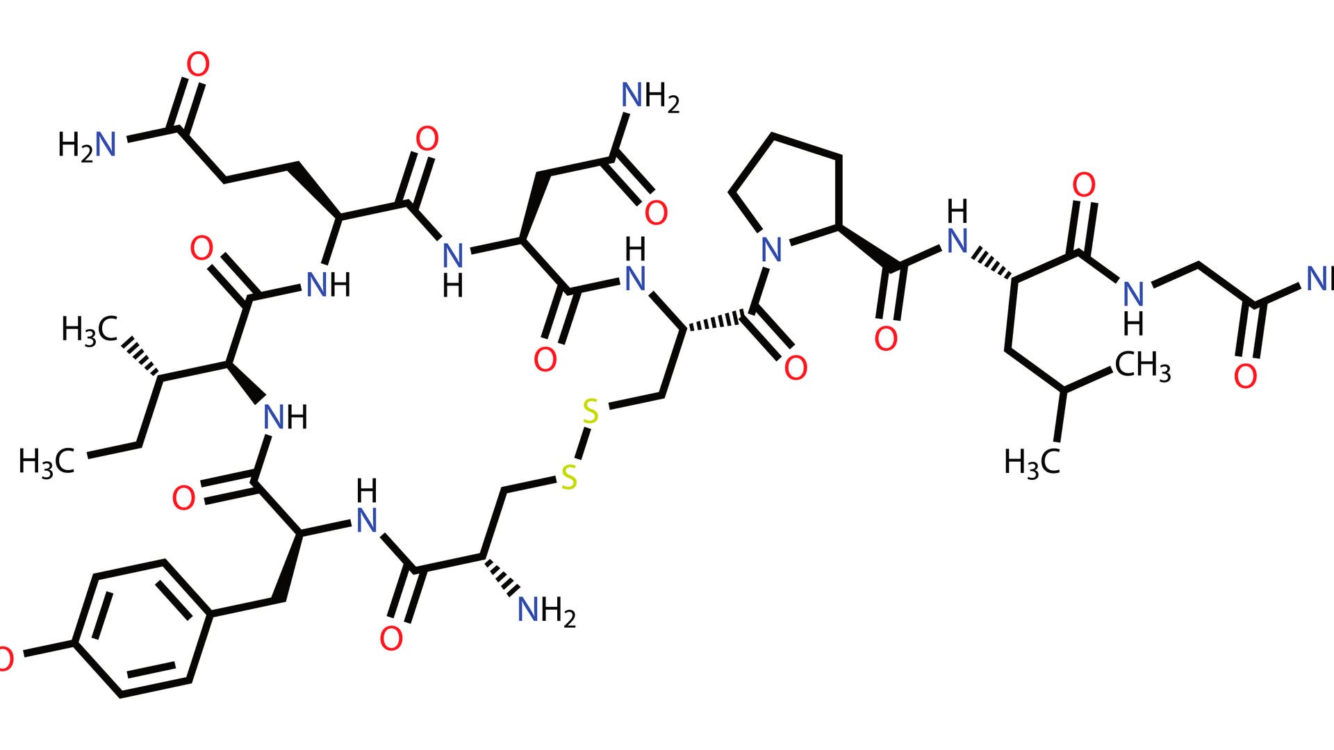 Oxytozin - Spektrum der Wissenschaft