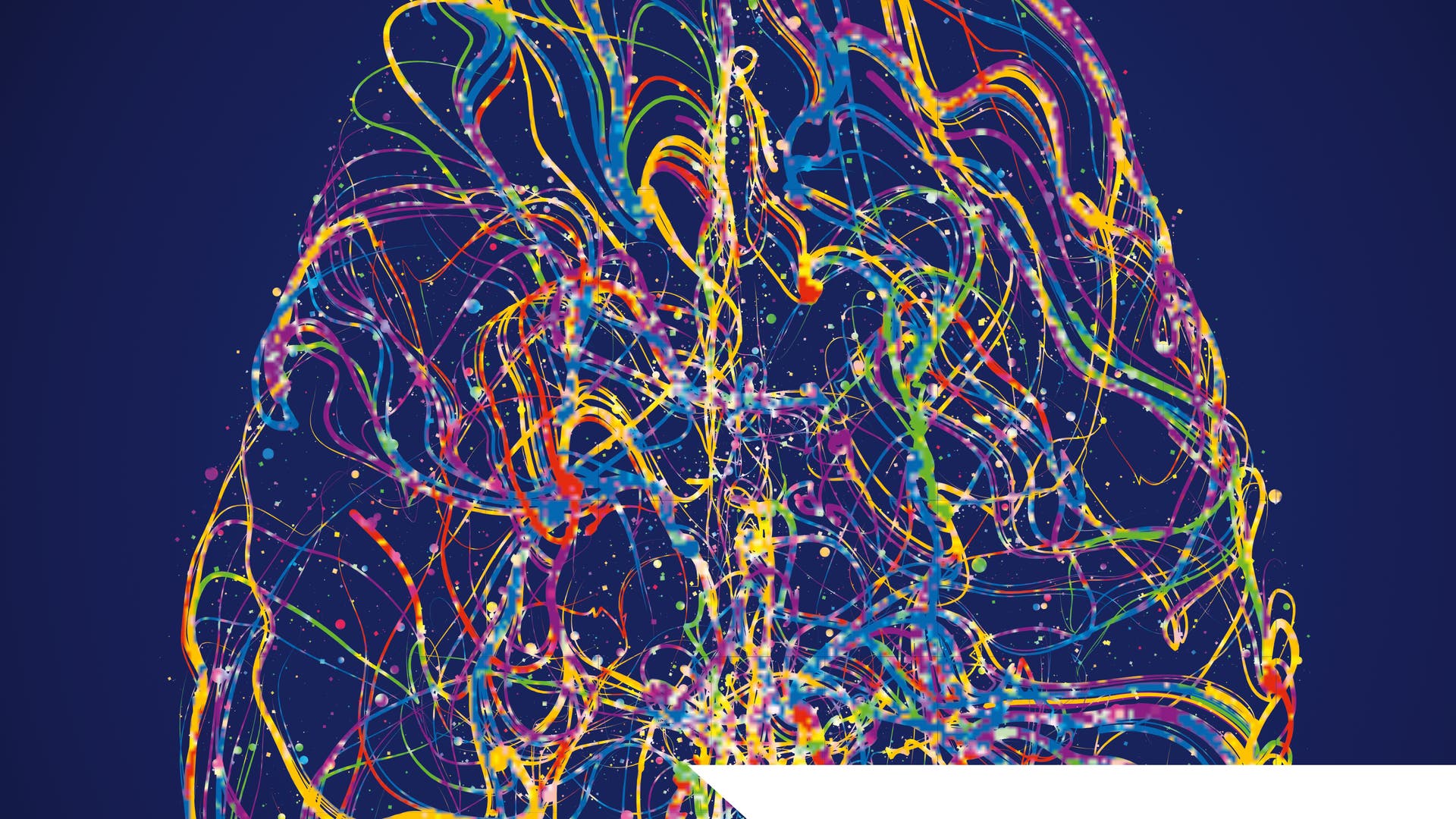 Spektrum Psychologie Jahrgang 2018 - Spektrum der Wissenschaft