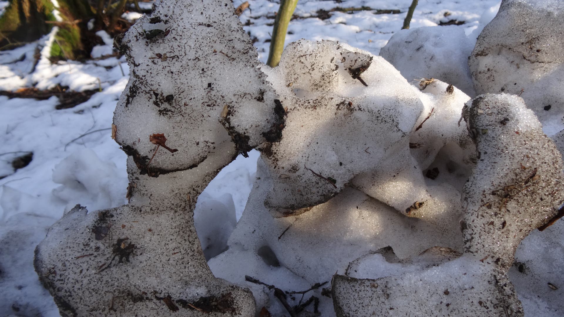 Warum sich Schmutz in schmelzendem Schnee sammelt - Spektrum der ...