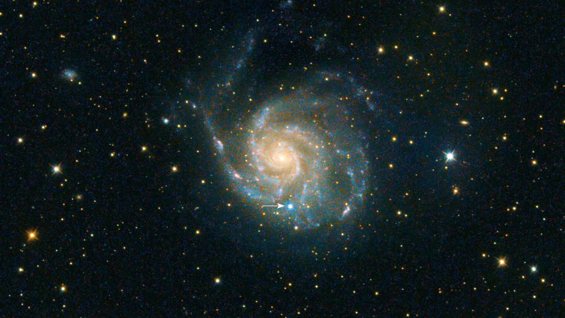 Welt der Wissenschaft: Sternentod: Was ernährte die Supernova in M 101 ...