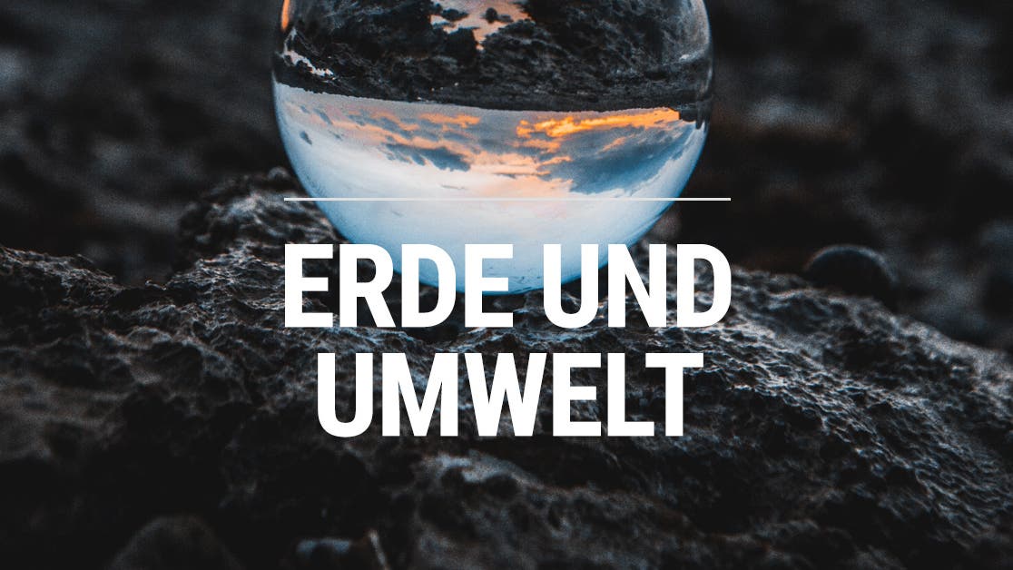 Fachgebiet Erde/Umwelt - Spektrum der Wissenschaft