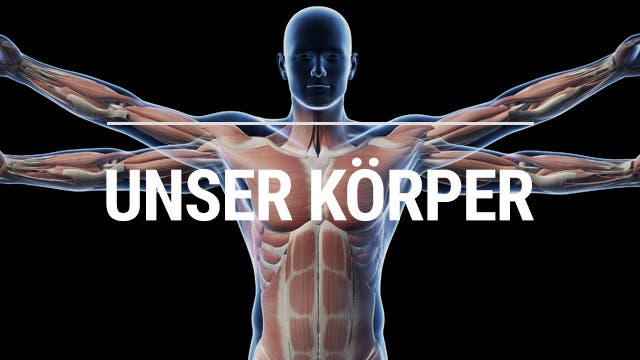 Publikationen zum Thema Unser Körper - Spektrum der Wissenschaft