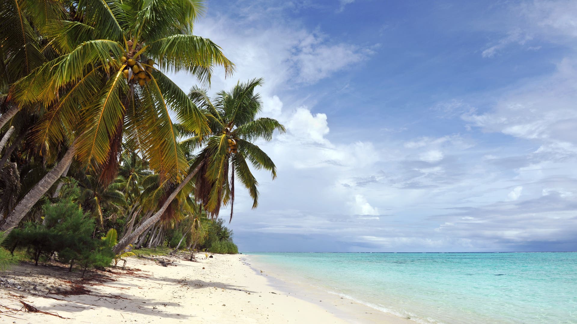 Inseln: Tuvalu geht nicht unter - im Gegenteil - Spektrum der Wissenschaft