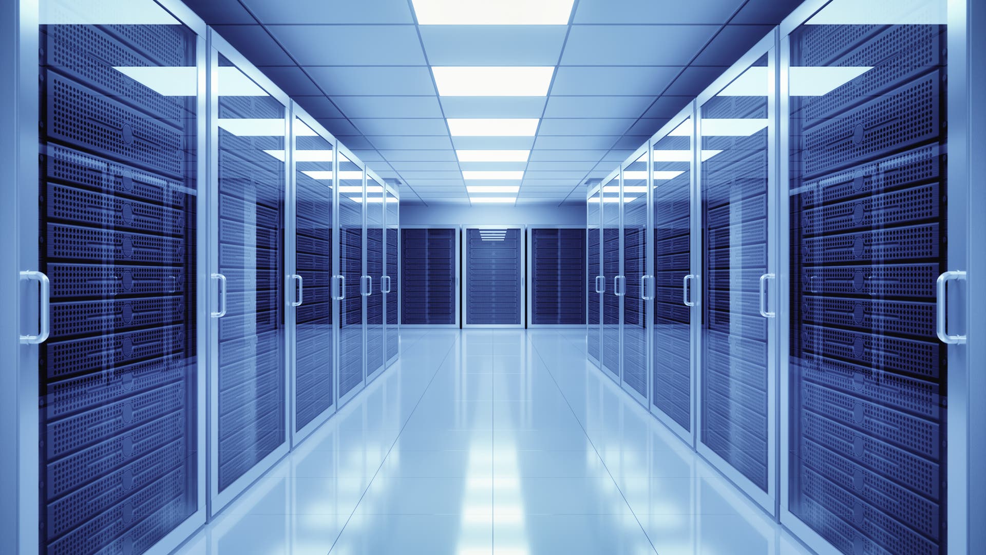 Wie die technischen Normen des Internets entstehen - Spektrum der ...