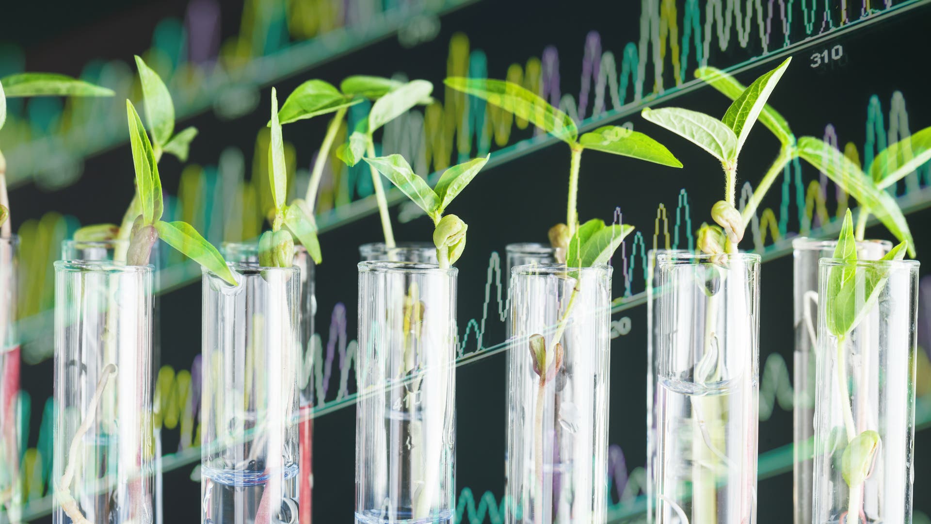 Natur als »Erfindung« - Spektrum der Wissenschaft