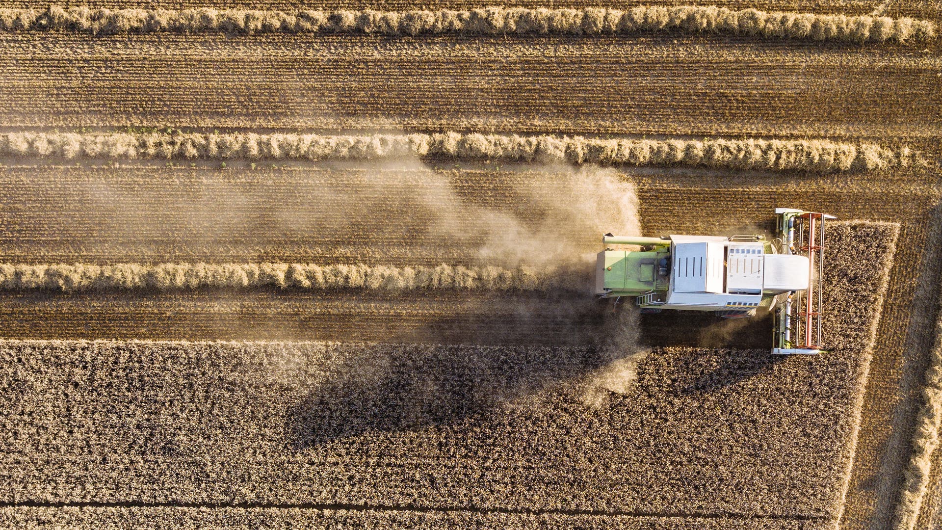 Landwirtschaft als Leidtragende und Mitverursacherin des Klimawandels ...