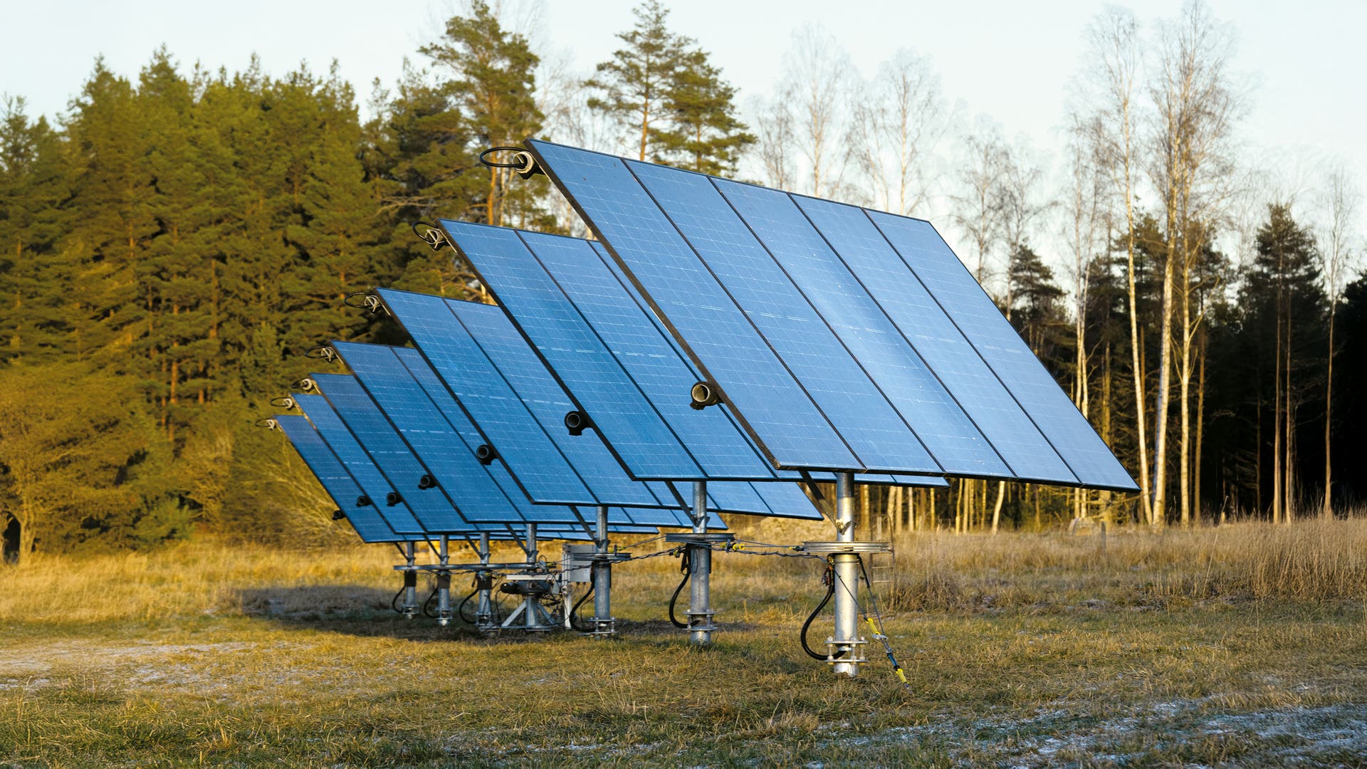 Fotovoltaik im Norden: Solaranlagen wiegen im skandinavischen Wind ...
