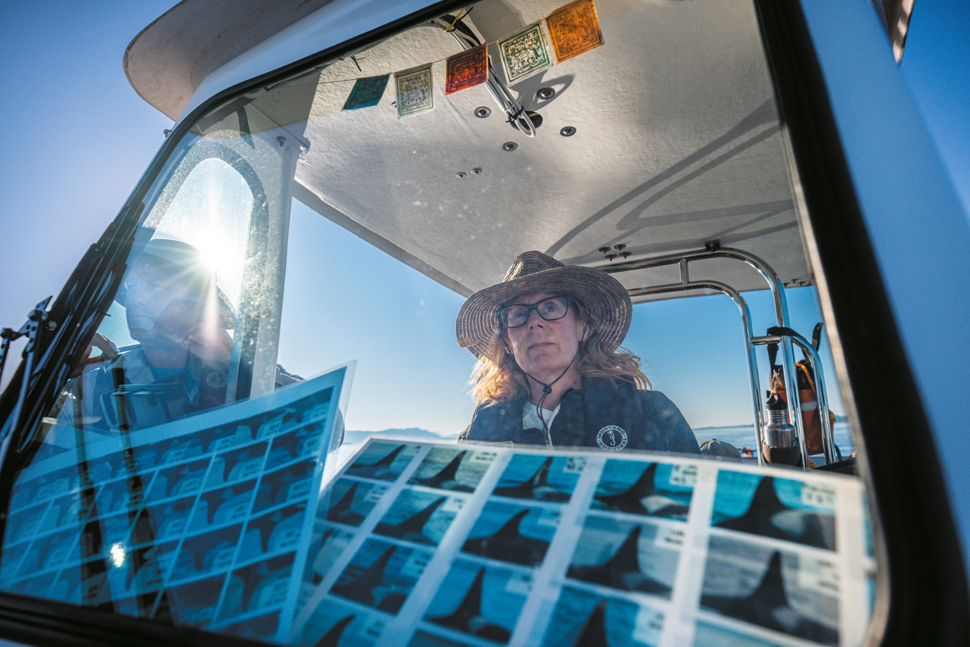 Orcas: Rettet die Southern Residents - Spektrum der Wissenschaft