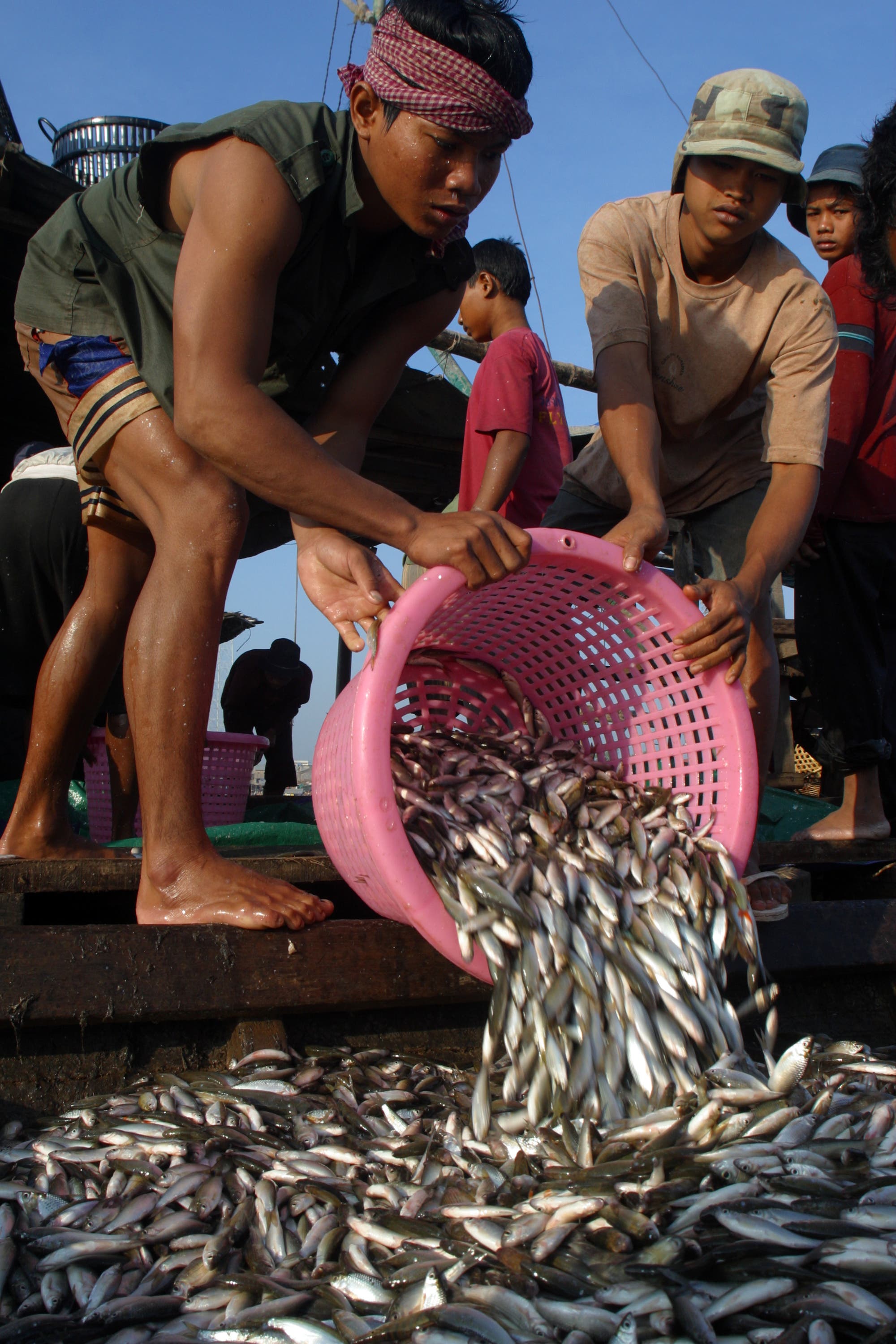 Mekong: Der wertvollste Fluss der Welt - Spektrum der Wissenschaft