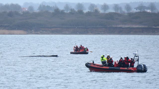 Notfälle: Schnelles Handeln in Notfallsituationen - Spektrum der ...