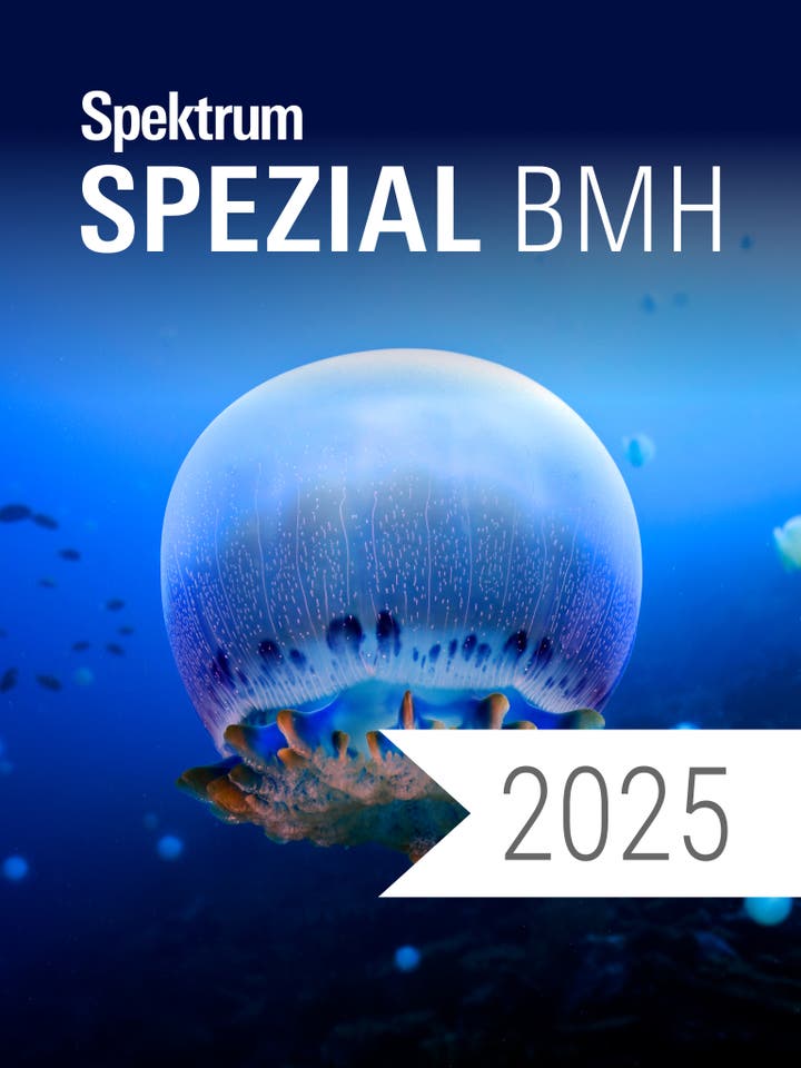 Zentroid - Lexikon der Geographie