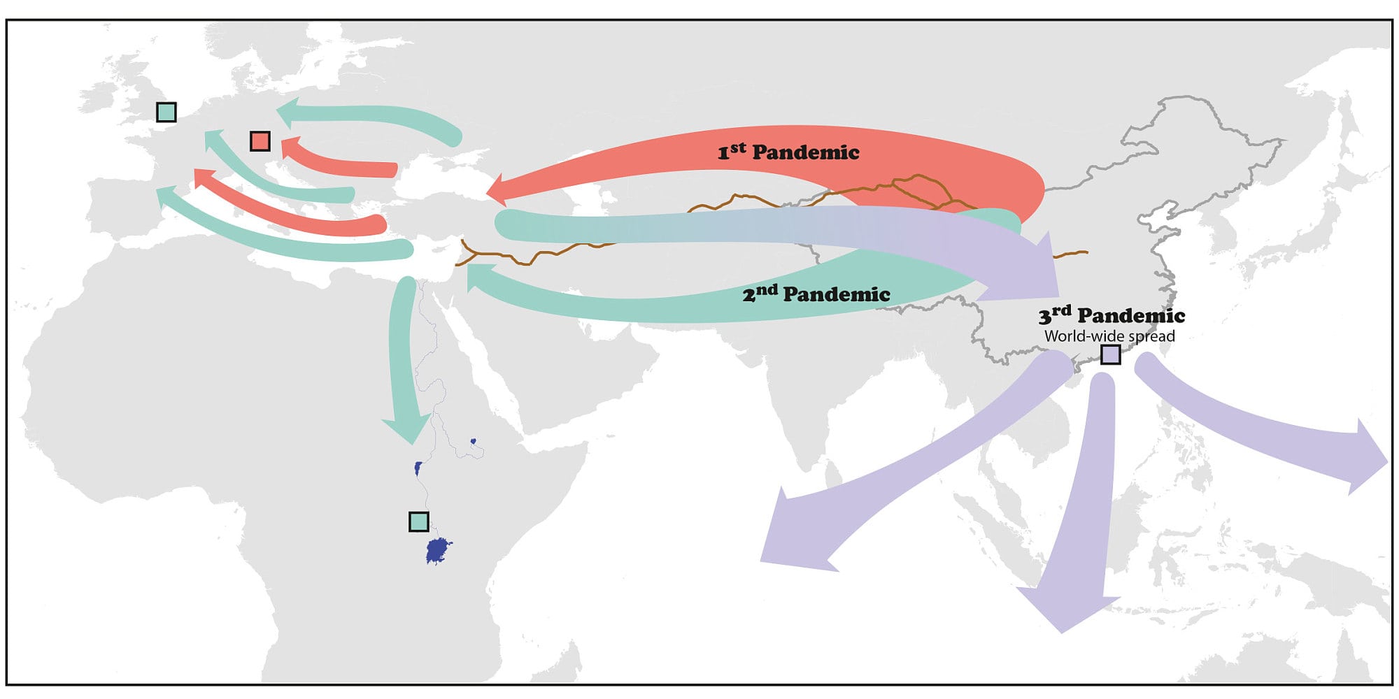 Früher Pesterreger ist ausgestorben - Spektrum der Wissenschaft