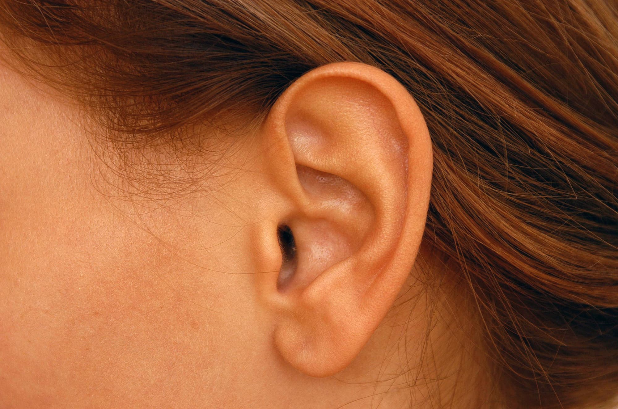 Die 10 merkwürdigsten wissenschaftlichen Studien - Spektrum der ...