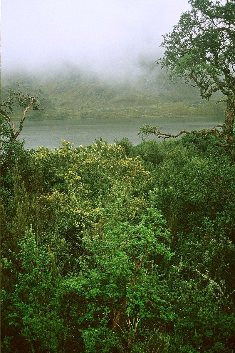 Biogeografie: Rückgrat der Evolution - Spektrum der Wissenschaft