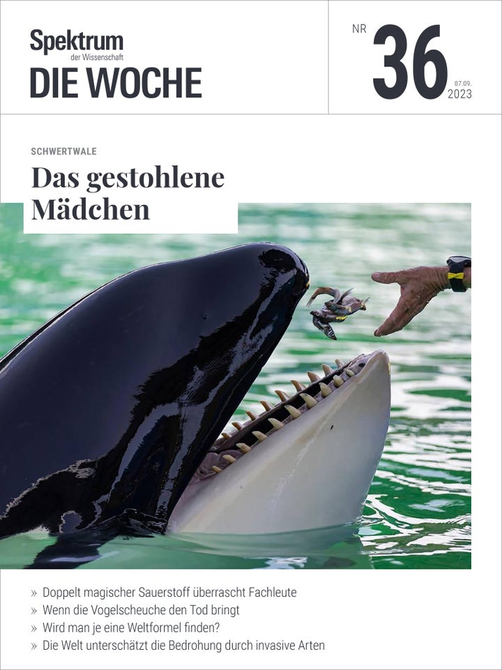 Das gestohlene Mädchen Spektrum-die Woche 36/2023 - Spektrum der Wissenschaft